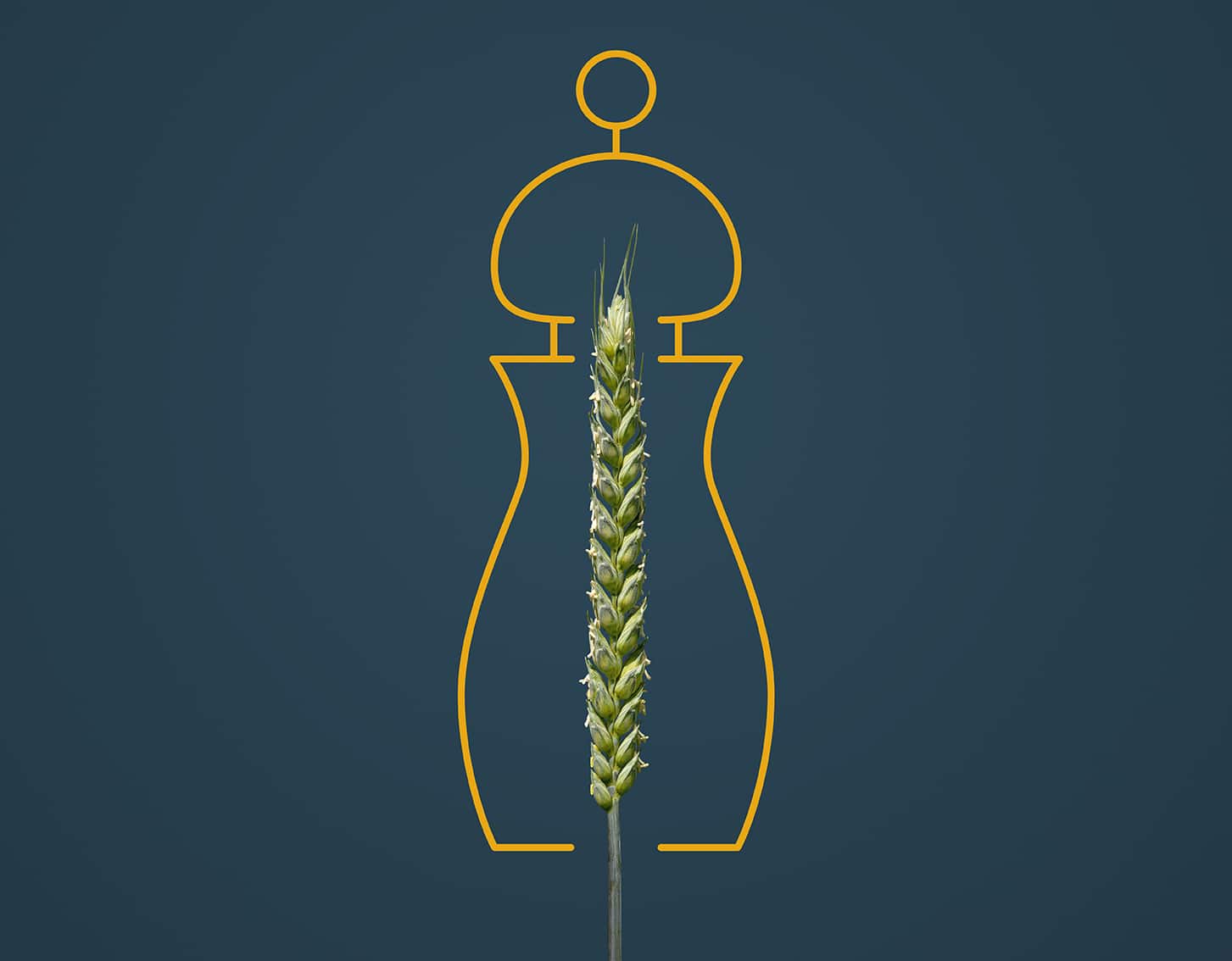 RGT SACRAMENTO - Ragt DE